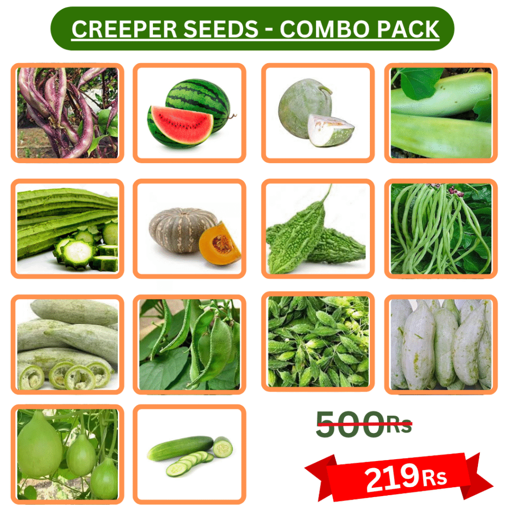 Creeper Seeds – Combo PacK – VGR Gardens