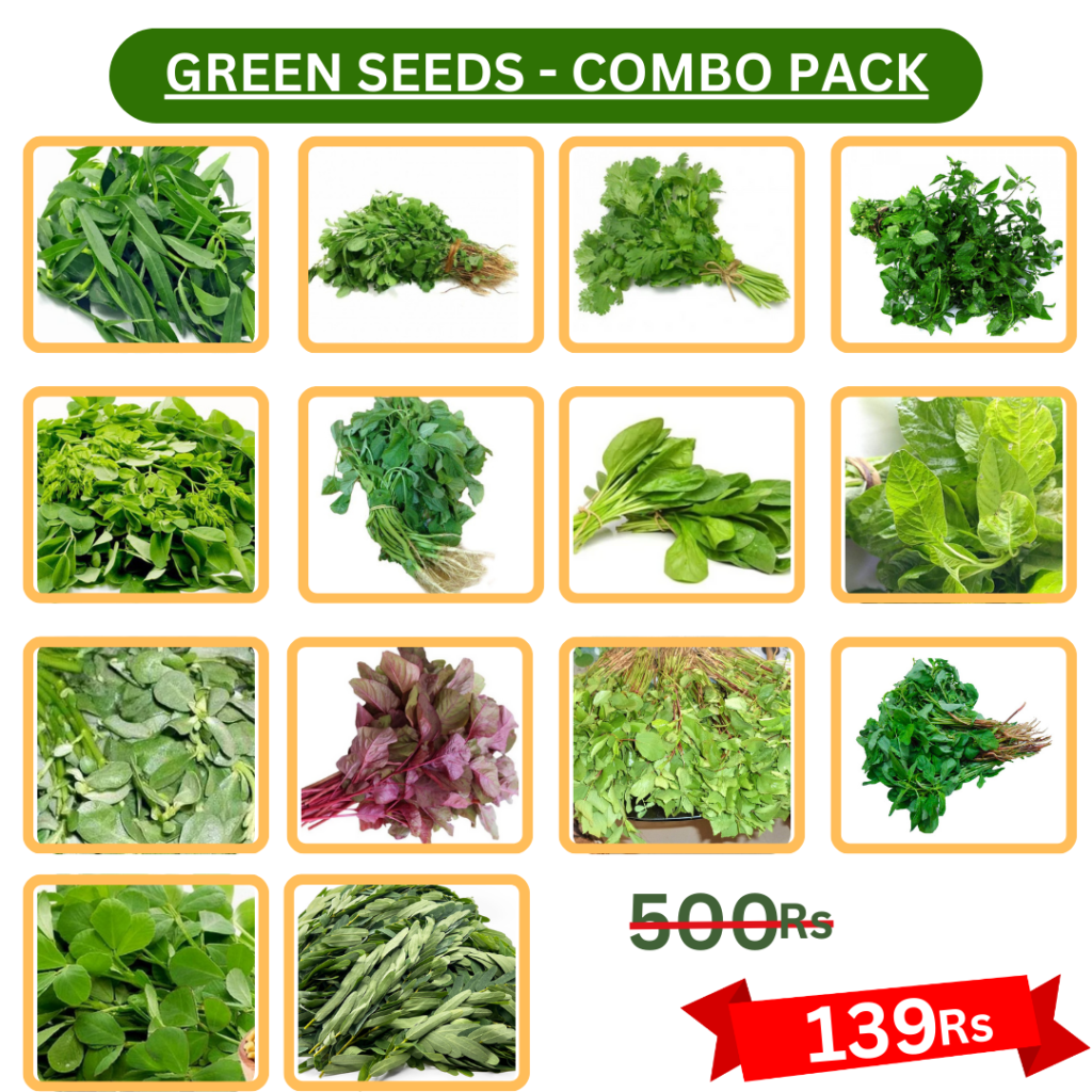 Green Seeds – Combo Pack – VGR Gardens
