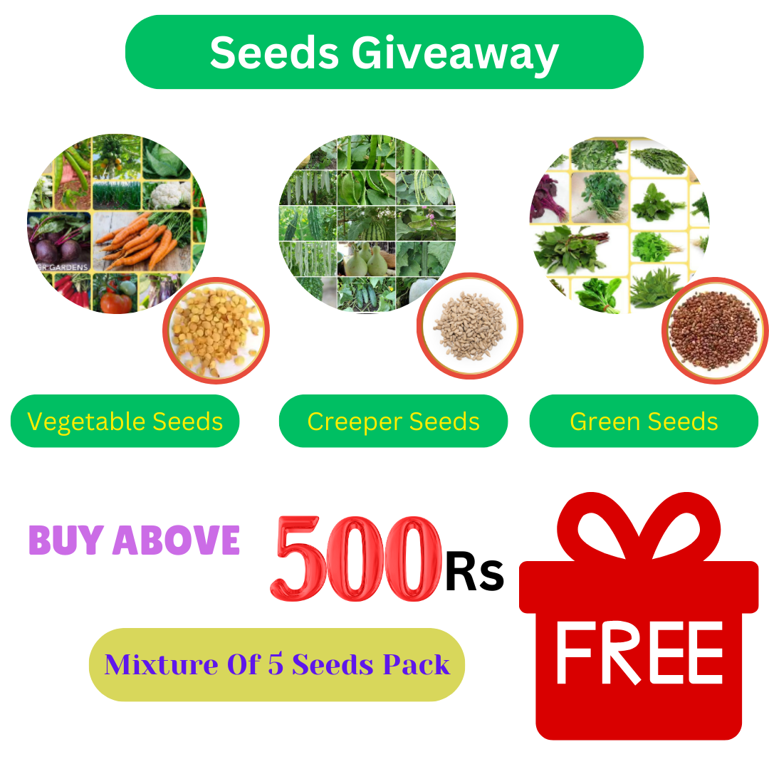Free Seeds - VGR Gardens